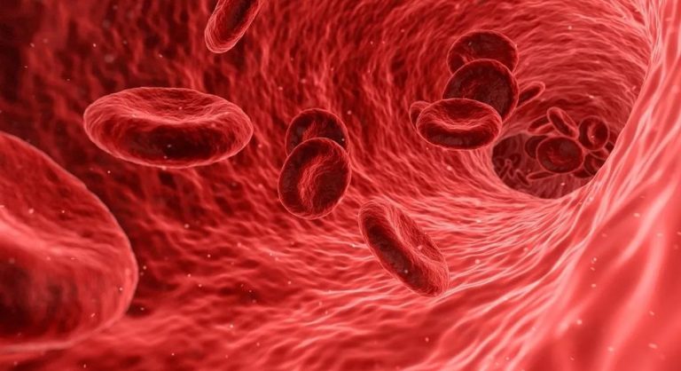 Niveles de Oxigenación: Consejos y manejo de oxímetro - Respira Vital ...